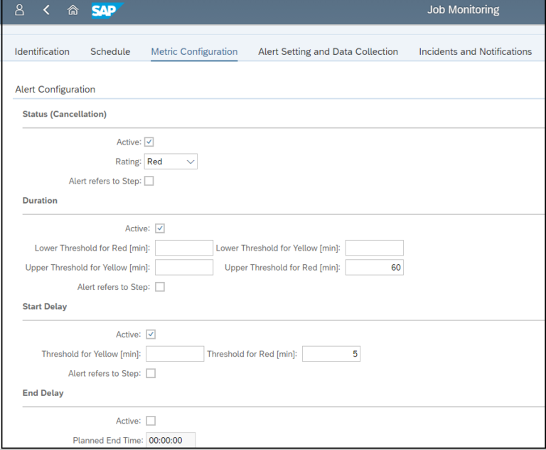 Job Monitoring with SAP Solution Manager - Layer Seven Security